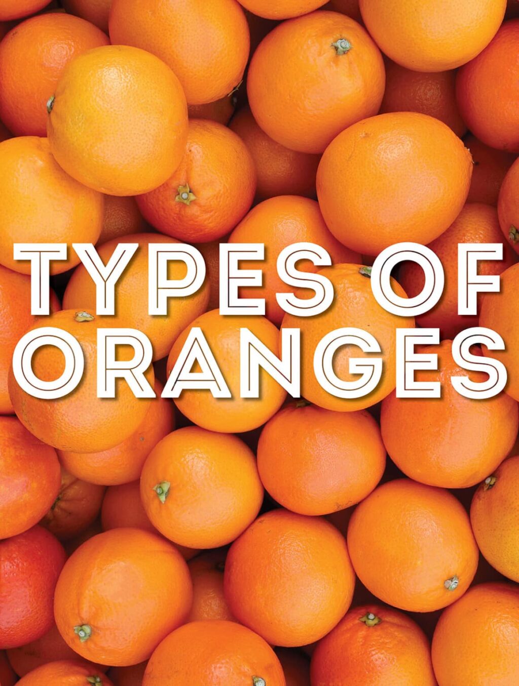 Orange Names: Unique & Vibrant Name Ideas for You - Elite Biography