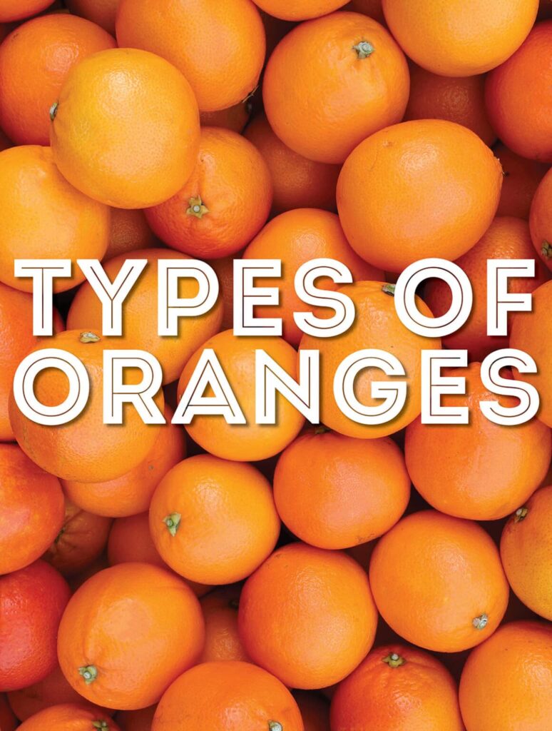 Orange Names: Unique & Vibrant Name Ideas for You - Elite Biography